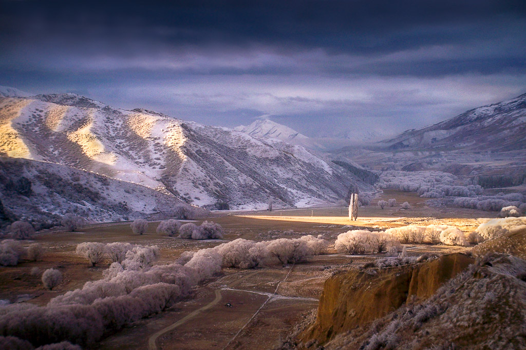 cardrona-hoar-book-24